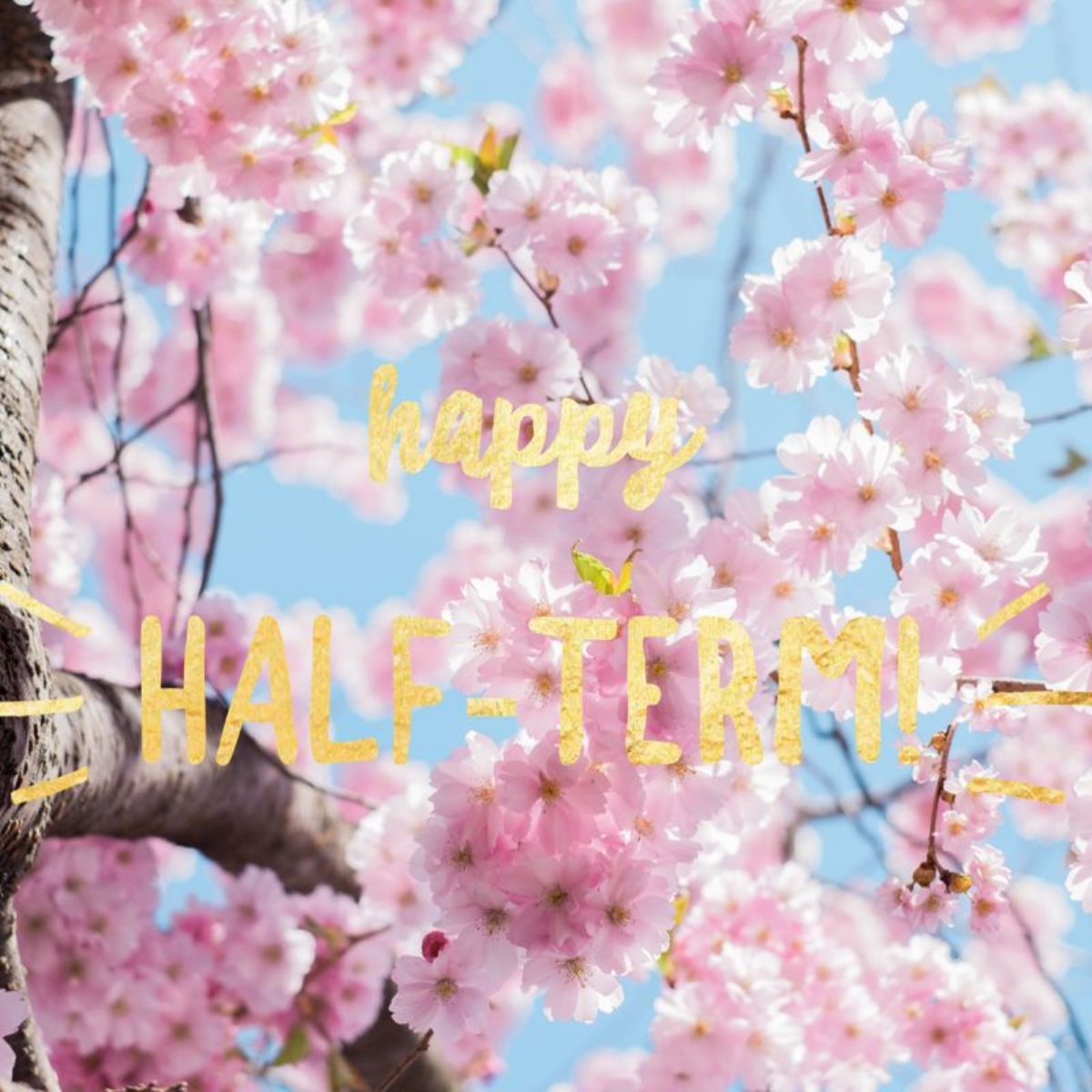 Happy Half-Term! - Rushey Mead Primary School